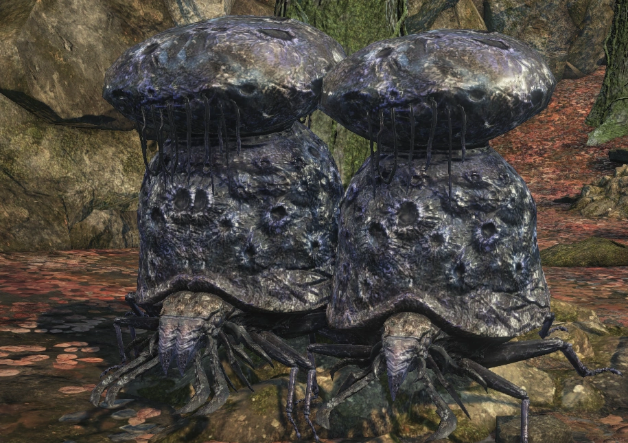 Poisonhorn Bug | Ds3 cinders mod Wiki | Fandom