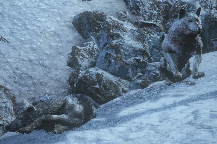 Wolf | Ds3 cinders mod Wiki | Fandom