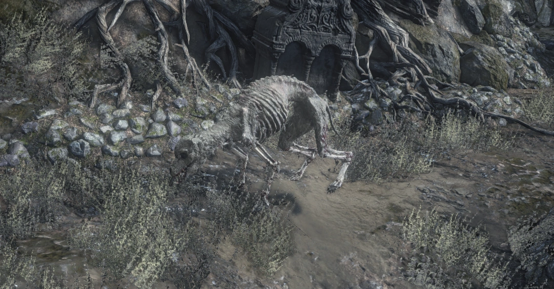 Starved Hound | Ds3 cinders mod Wiki | Fandom
