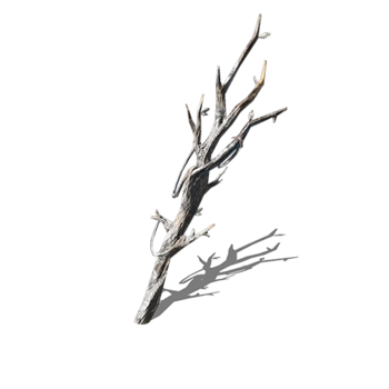 Witchtree Branch | Ds3 cinders mod Wiki | Fandom