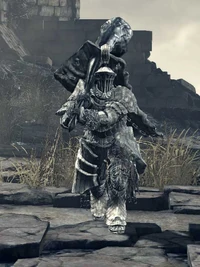 Havel Knight | Ds3 cinders mod Wiki | Fandom