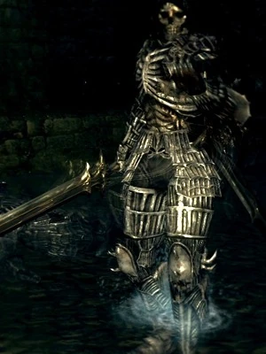 Darkwraith Knight | Dark Souls D&D Wiki | Fandom