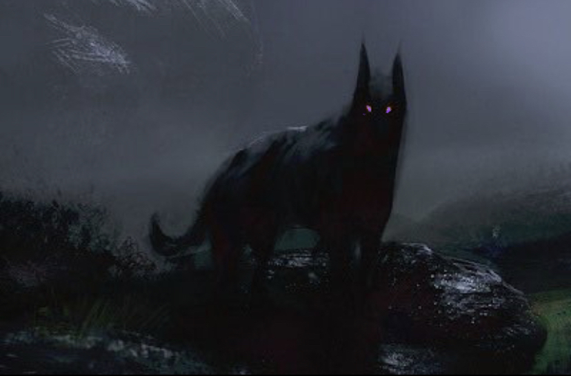 Skuggi | DSGHQ Wiki | Fandom