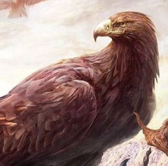 Vultures | DSGHQ Wiki | Fandom