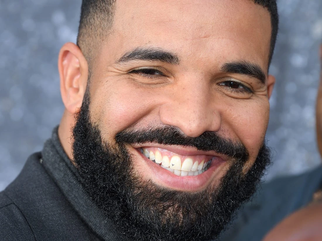 Drake | DShakey Bakery Wiki | Fandom