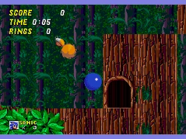 Wood Zone | Wiki Dsonic the hedgehog | Fandom