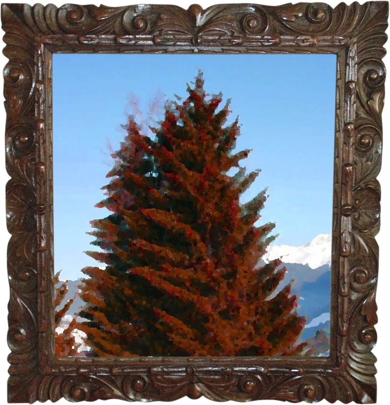 Bloodspruce | DSRRed Wiki | Fandom