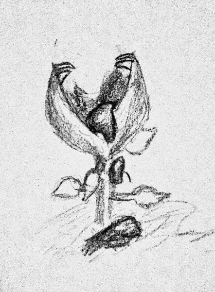 Bloodflower | DSRRed Wiki | Fandom