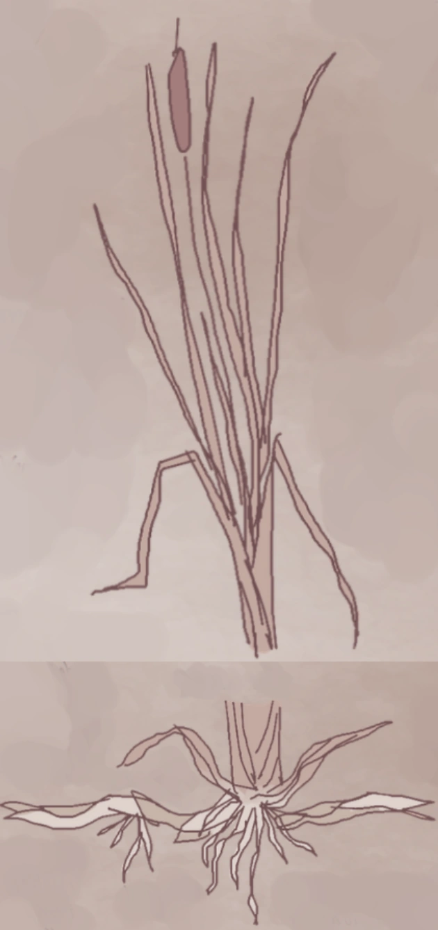 Tinderreed | DSRRed Wiki | Fandom