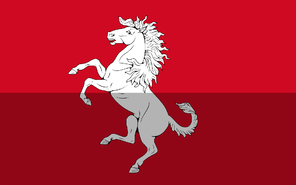 2009 DTM Season | DTM Wiki | Fandom