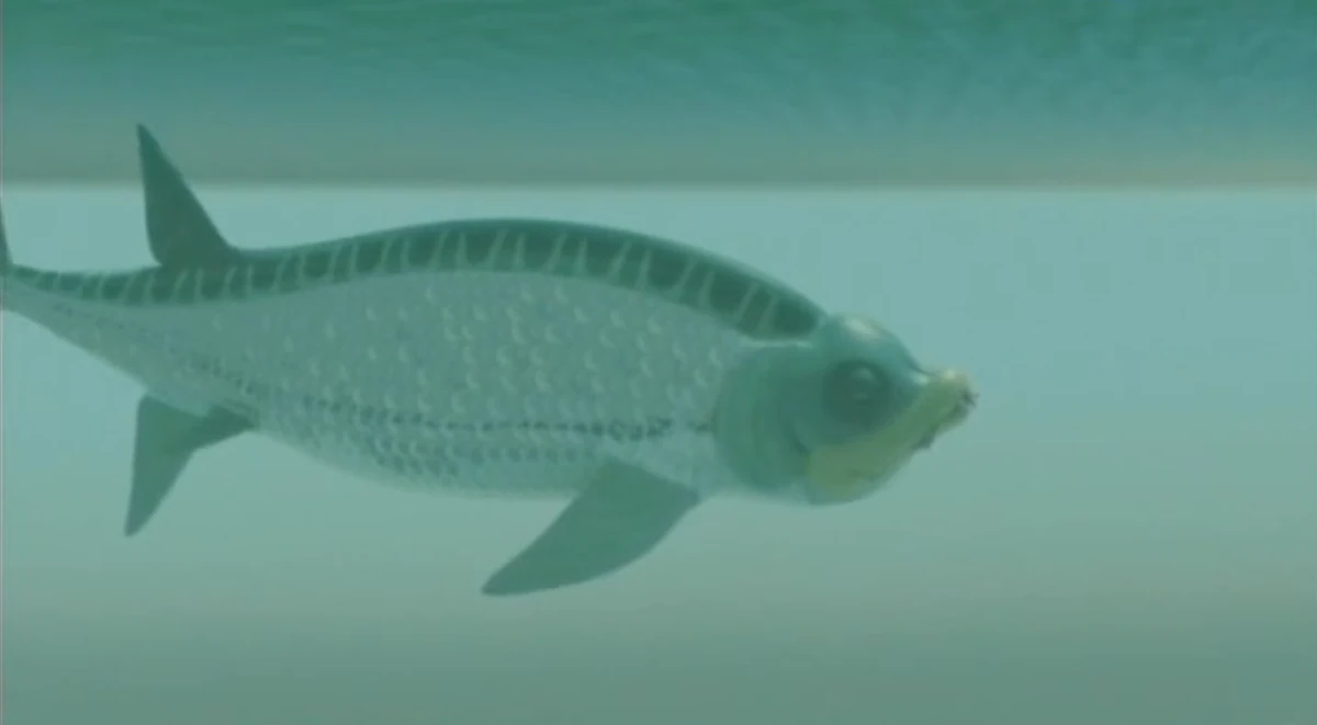 Mawsonia | Dinosaur Train Wiki | Fandom