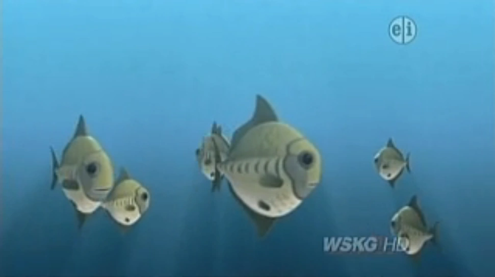 The Big Pond | Dinosaur Train Wiki | Fandom