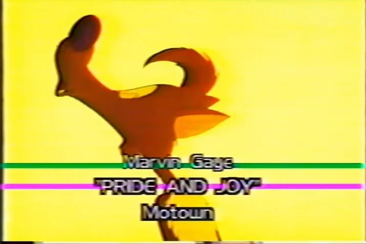 Marvin Gaye: Pride and Joy | DTV Wiki | Fandom