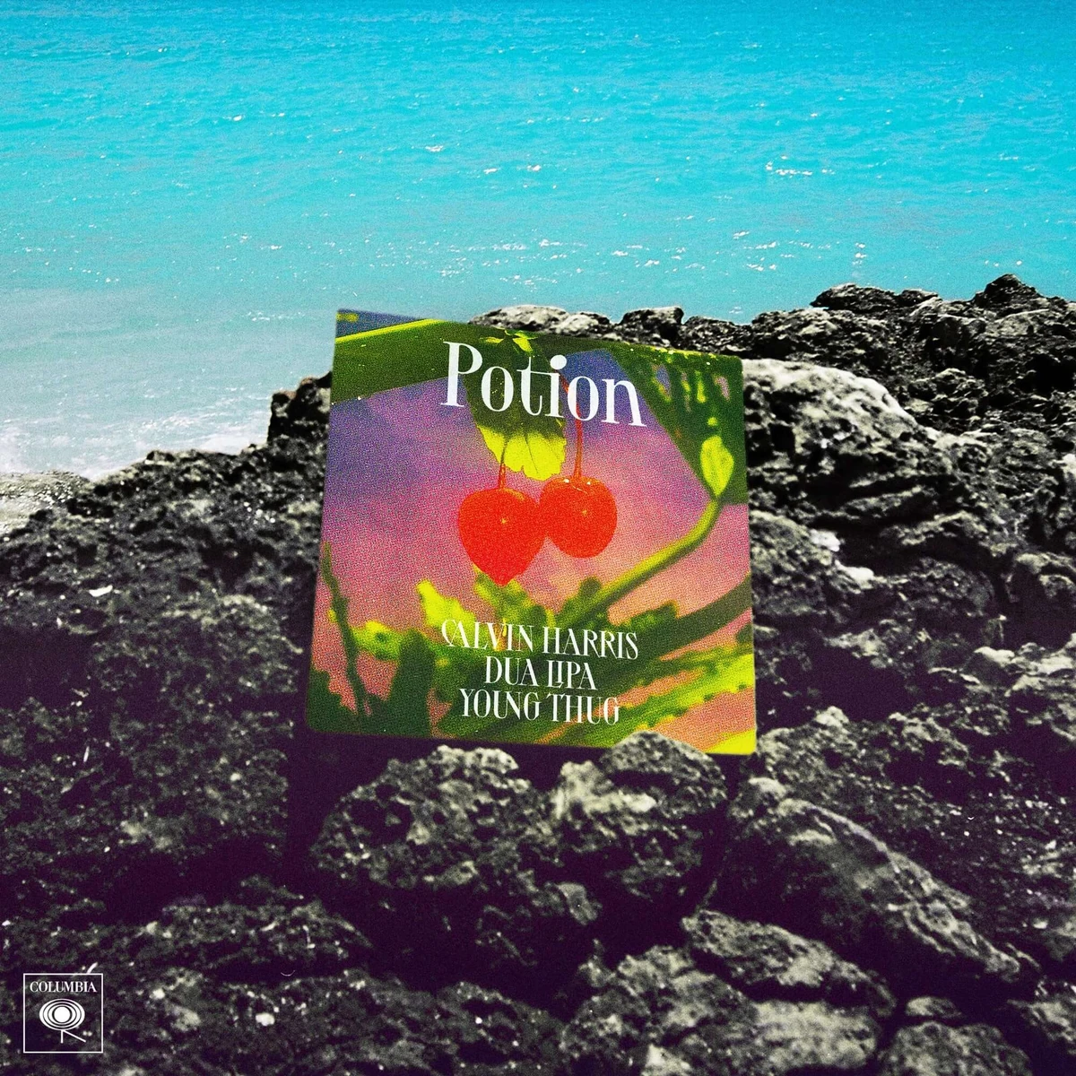 Potion | Dua Lipa Wiki | Fandom