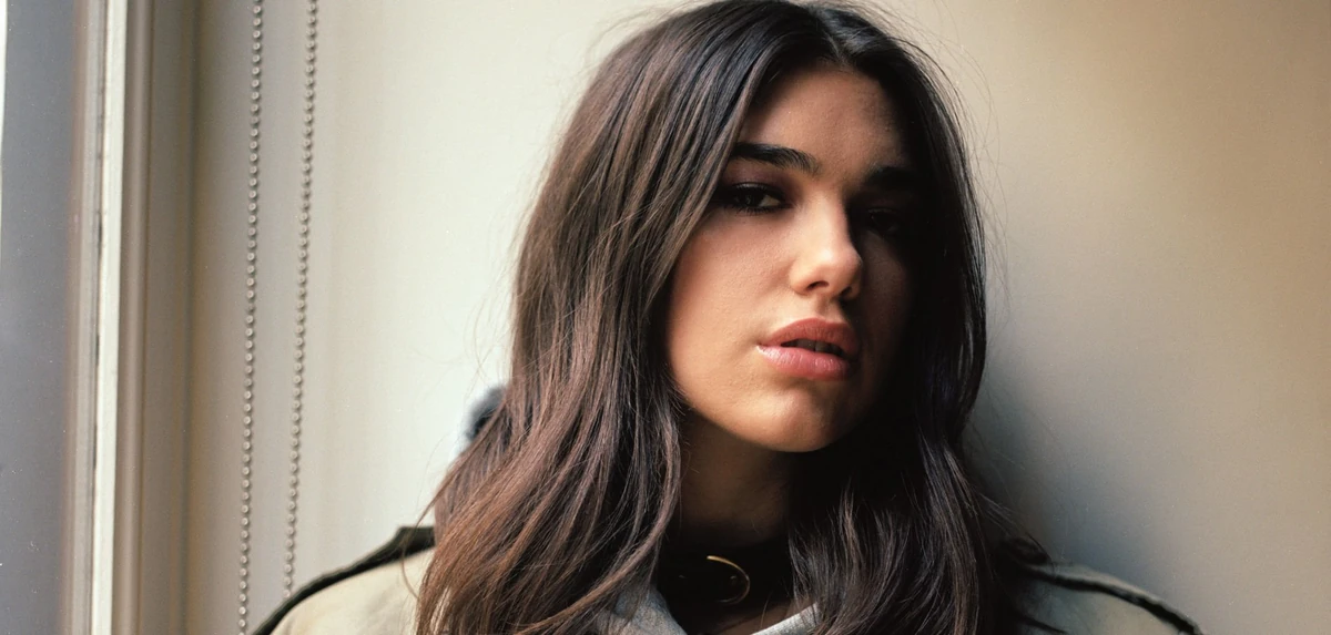 Vincent Desailly | Dua Lipa Wiki | Fandom