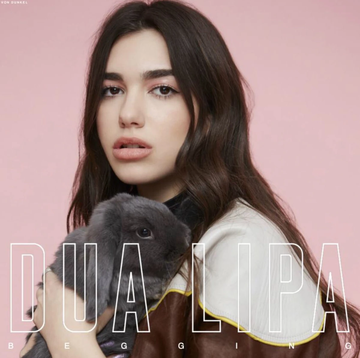 Begging (song) | Dua Lipa Wiki | Fandom