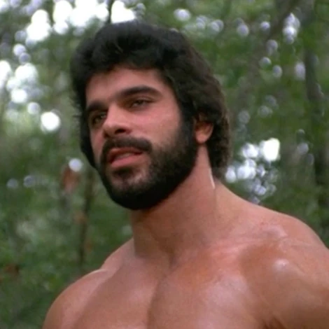 Lou Ferrigno Hercules Poster