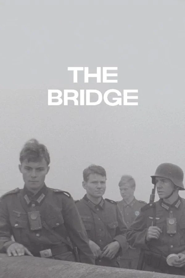 The Bridge | Dubbing Wikia | Fandom