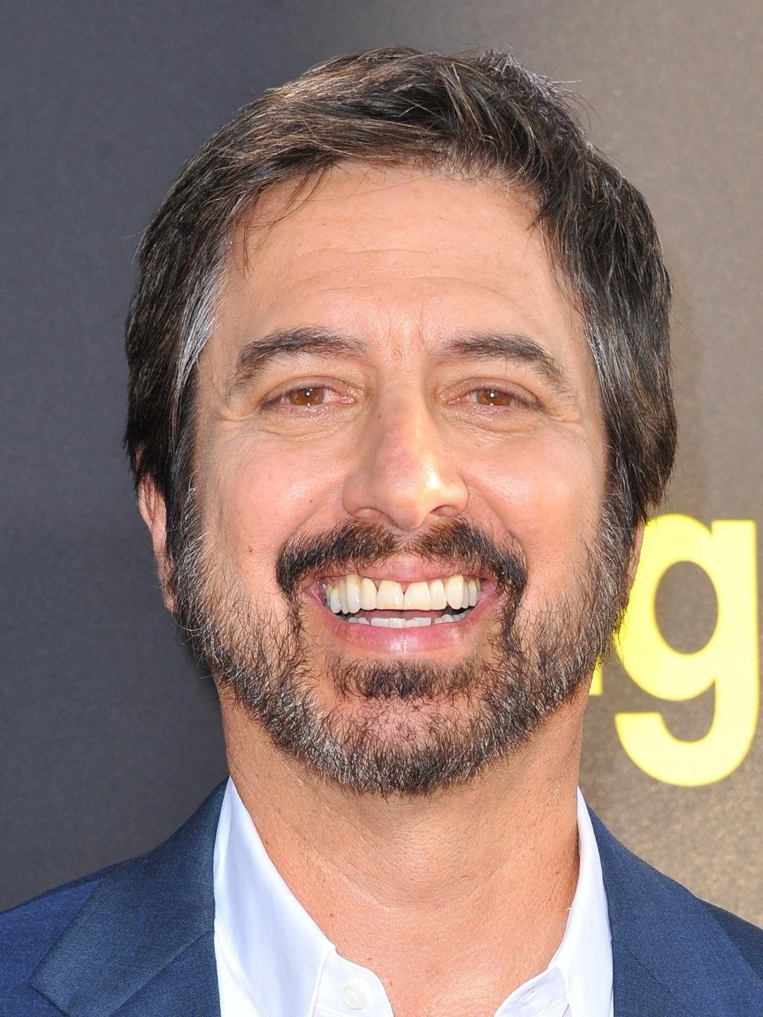 Ray Romano | Dublapédia | Fandom