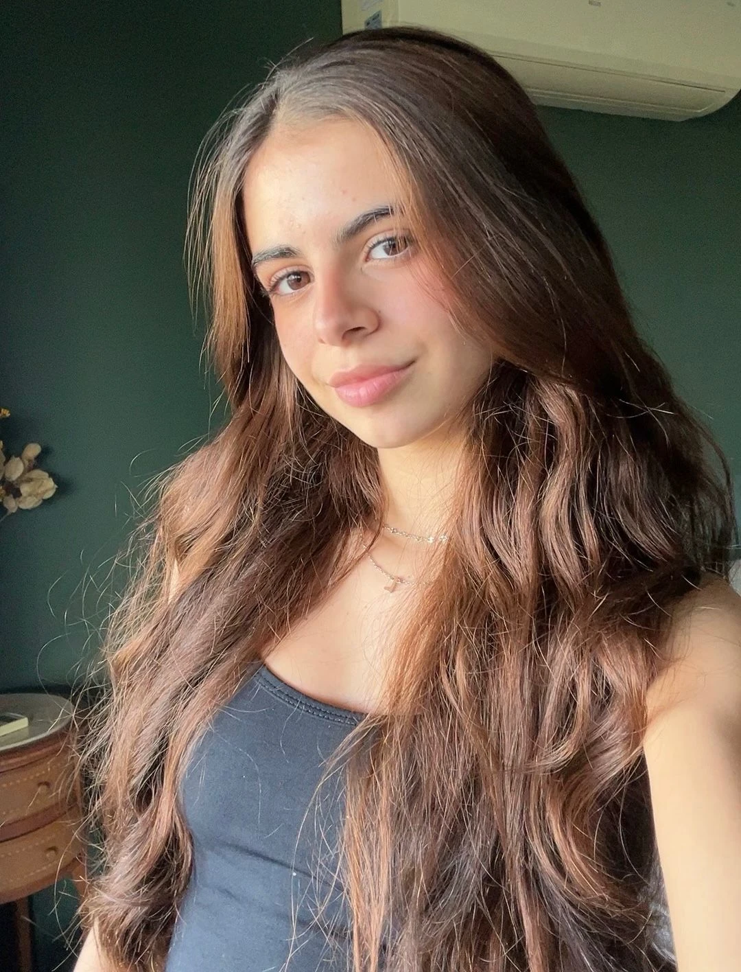 Lari Abinader | Dublapédia | Fandom