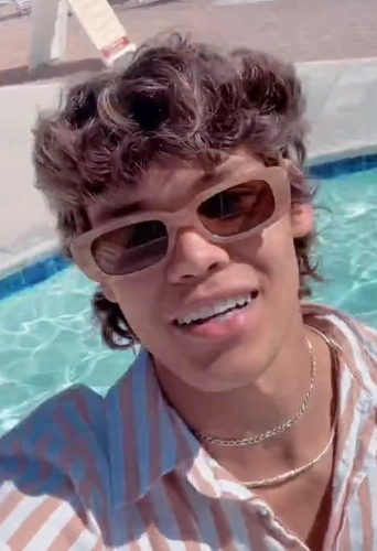 Pedro Henrique | Dublapédia | Fandom