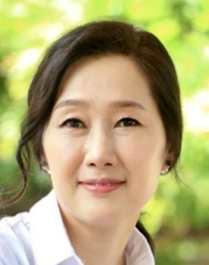 Bae Hae-Sun | Dublapédia | Fandom