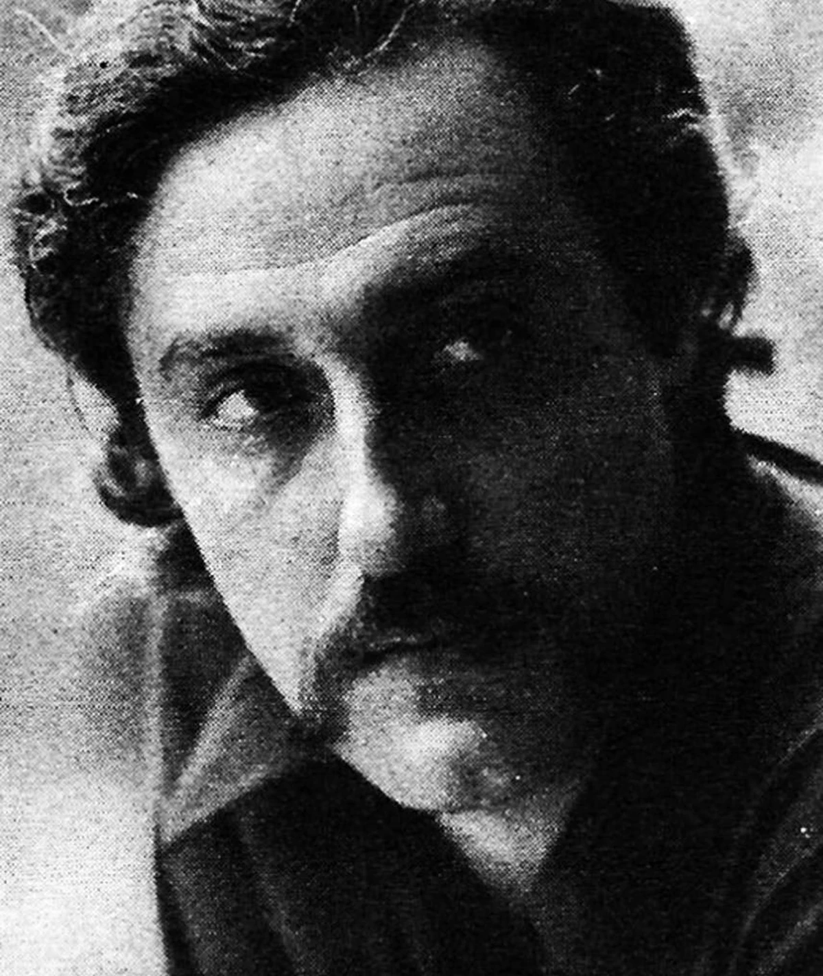 Vinícius Salvatori | Dublapédia | Fandom