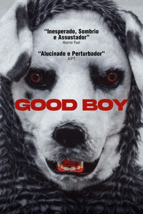Good Boy | Dublapédia | Fandom