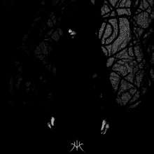 Yvm3 | Bass Music Wiki | Fandom