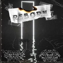 Nimda | Bass Music Wiki | Fandom