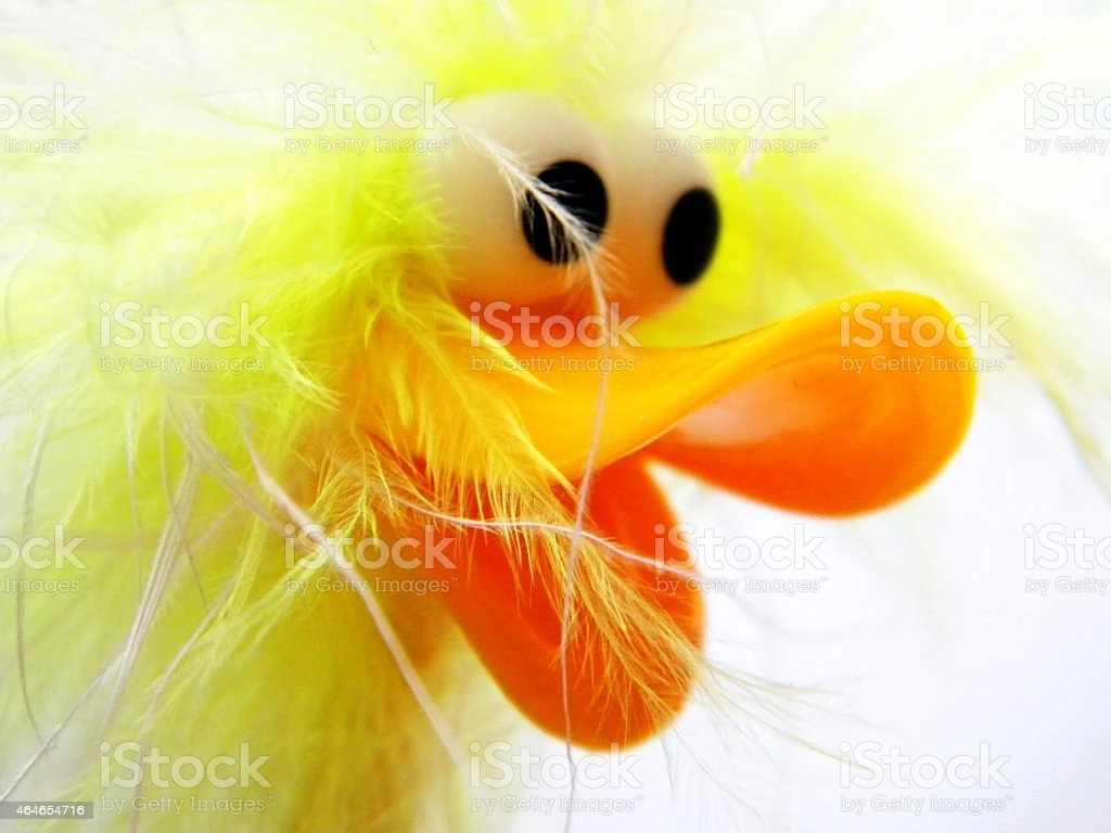 Cannibal ducks | Duck Town Wiki | Fandom