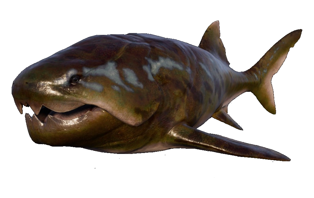 Dunkleosteus | Duckhunt's Prehistoric Market Wiki | Fandom