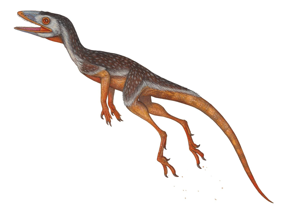 Lagerpeton | Duckhunt's Prehistoric Market Wiki | Fandom