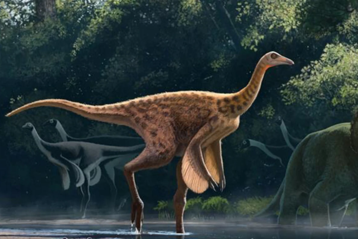 Rativates | Duckhunt's Prehistoric Market Wiki | Fandom