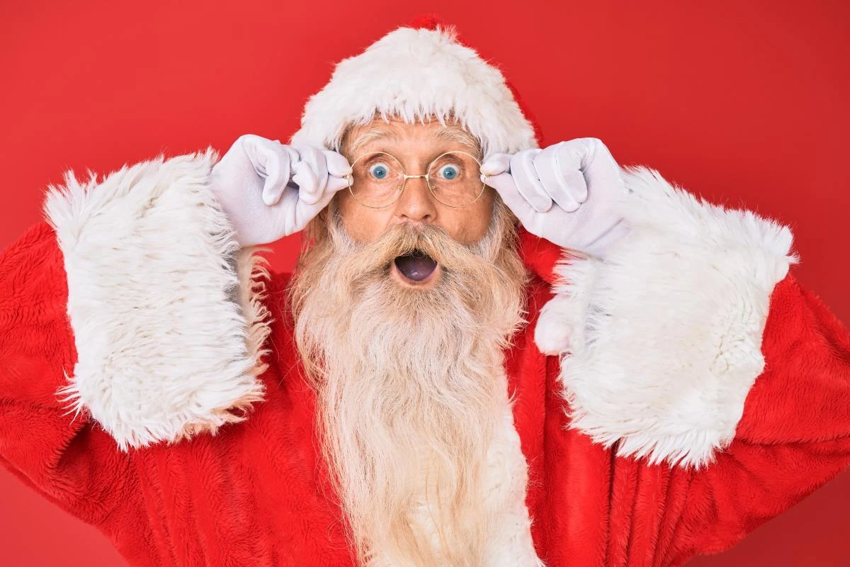 Santa | Duckpond Wiki | Fandom