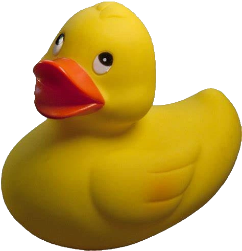 Quacker | Duck Simulator Wiki | Fandom