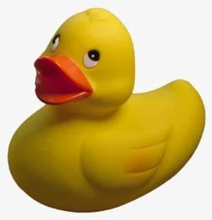 Quacker | Duck Simulator Wiki | Fandom