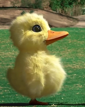 The Duck | Duck Song Wiki | Fandom