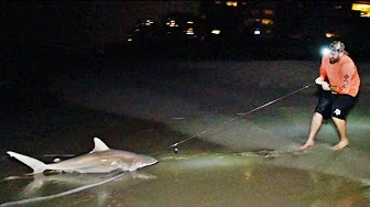 Shark Fishing Battle | Dude Perfect Wiki | Fandom