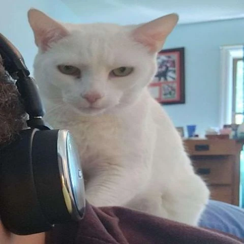 XTempest | Duelingbook Main Menu Wiki | Fandom