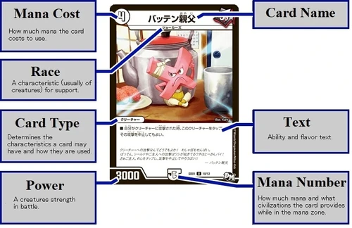 How to Play/Basic | Duel Masters Wiki | Fandom