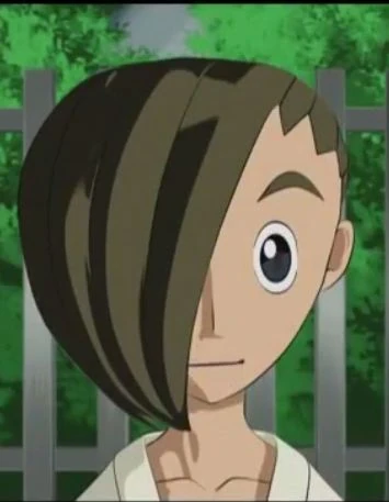 Hoko | Duel Masters Wiki | Fandom