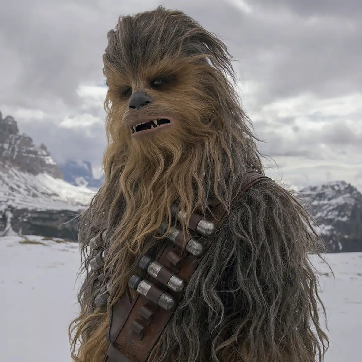 Chewbacca | Duels Wiki | Fandom