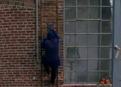 Mask | Due South Wiki | Fandom