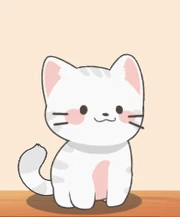 Duet Cats | Duet Cats Wiki | Fandom