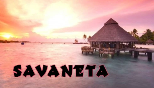 Savaneta | Duffy's Survivor Series Wiki | Fandom