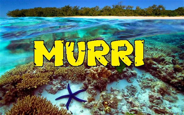 Murri | Duffy's Survivor Series Wiki | Fandom