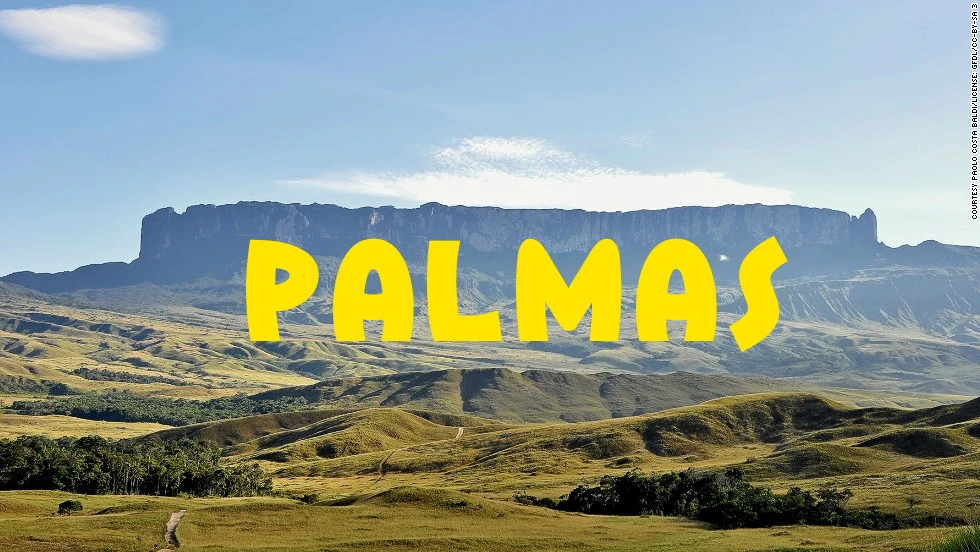 Palmas | Duffy's Survivor Series Wiki | Fandom