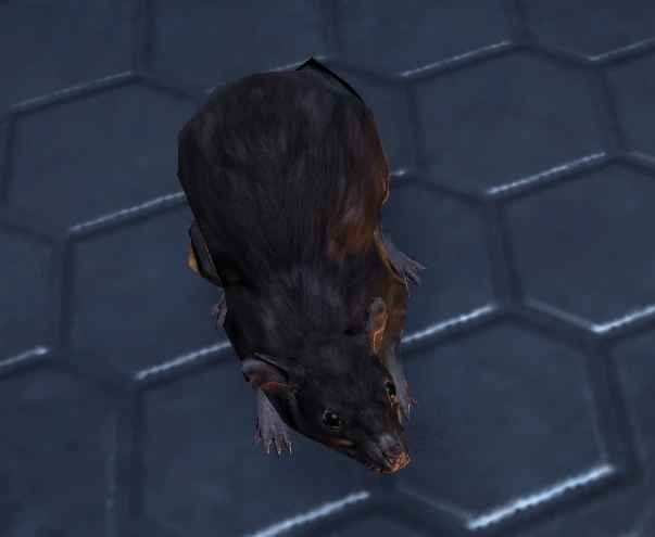 Rat | Duke Nukem Wiki | Fandom