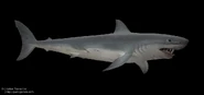 Duke Nukem: Endangered Species | Duke Nukem Wiki | Fandom